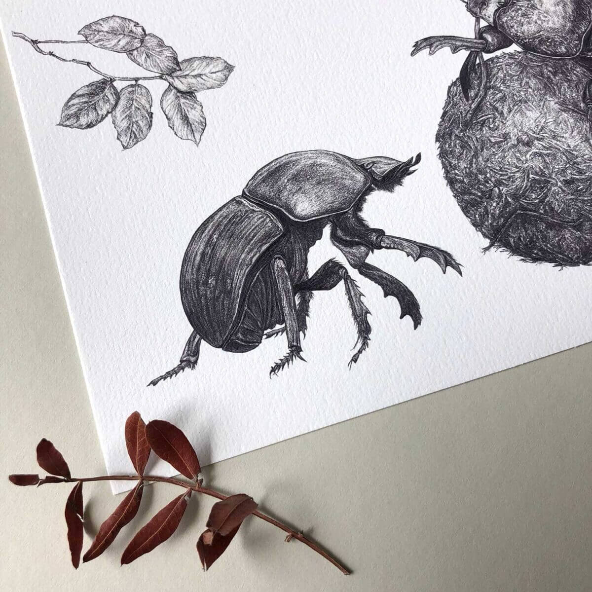 Dung Beetles – A5 Art Print – Sky Siouki