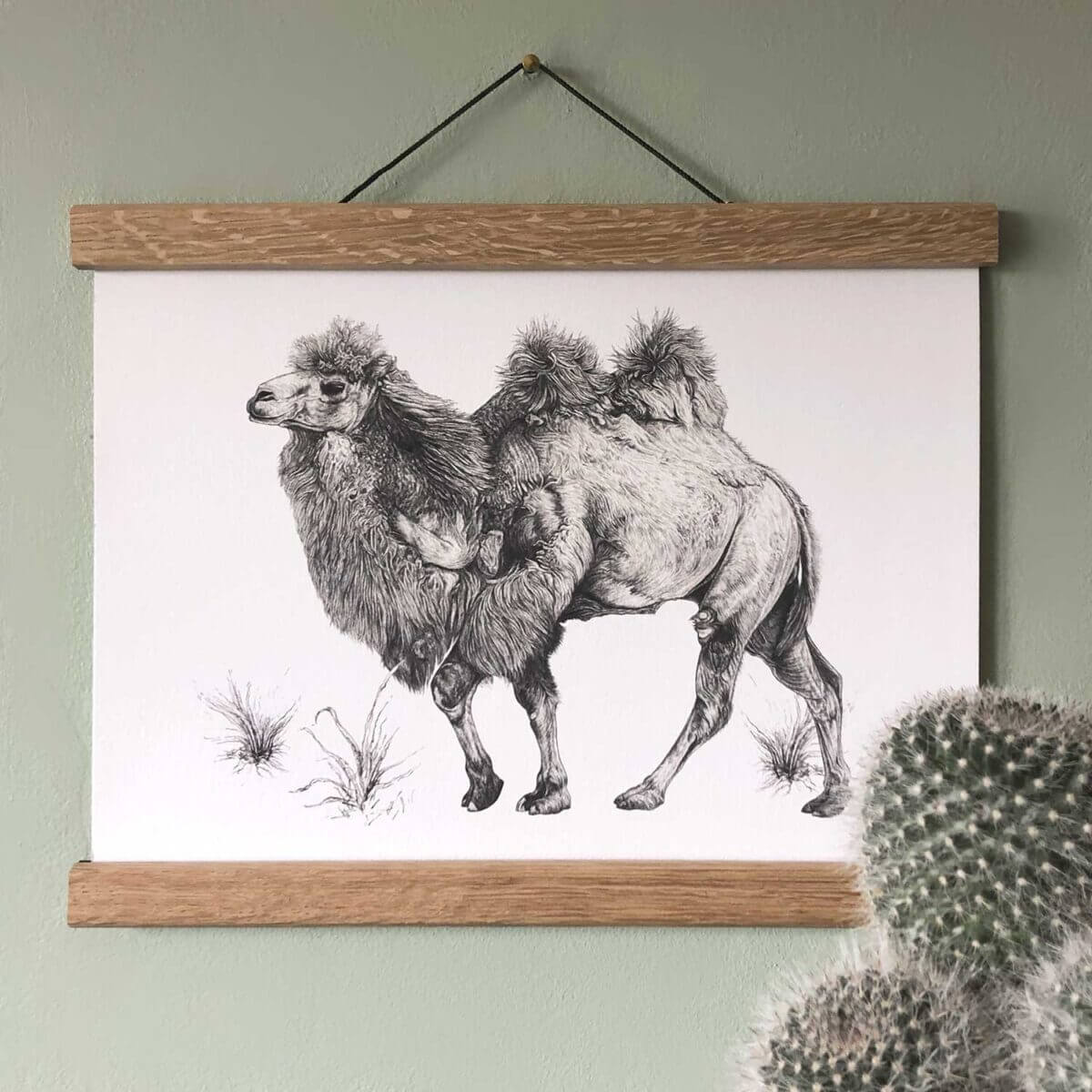 Bactrian Camel – A4 Art Print – Sky Siouki